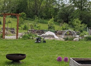 Hatching A Plot Learning To Garden Preserve Fruits And Vegetables